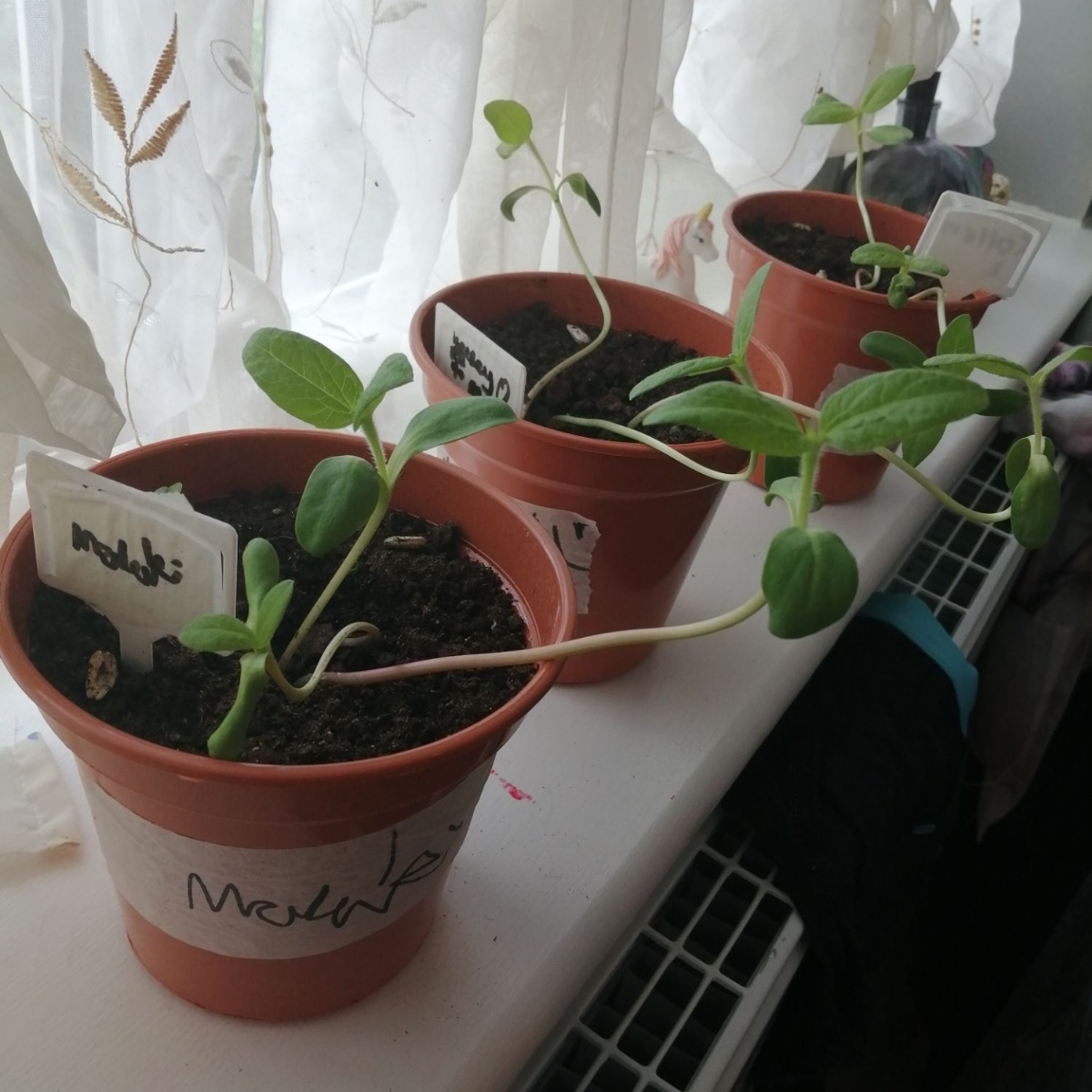 Lawnside Academy - Green-fingered Malaki and Kelsey