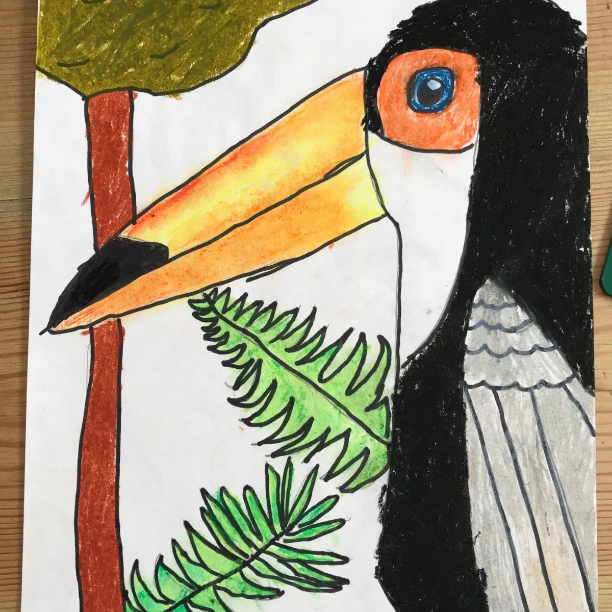 Lawnside Academy - Florence's Toucan